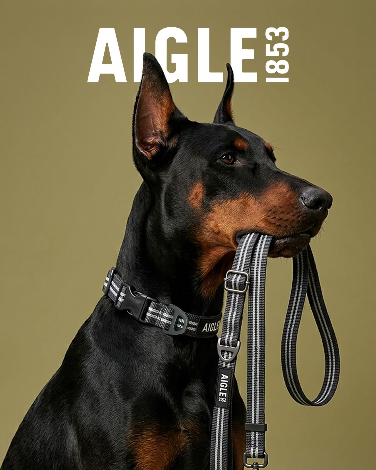 Designer Dog Accessories – Luxury Collars, Leads & More | Kanine ...