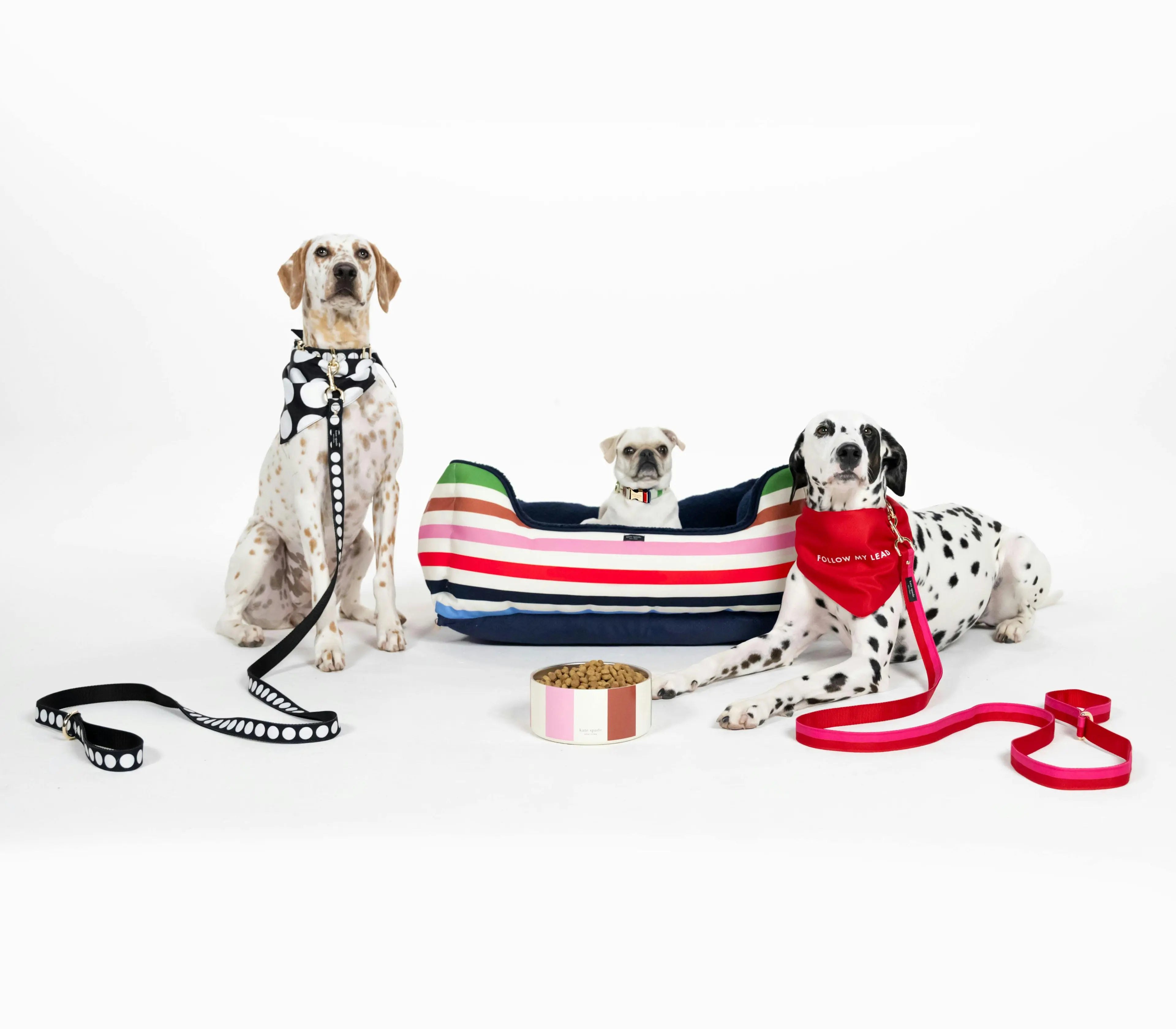 Luxury Pet Accessories from Kate Spade New – Kanine.com