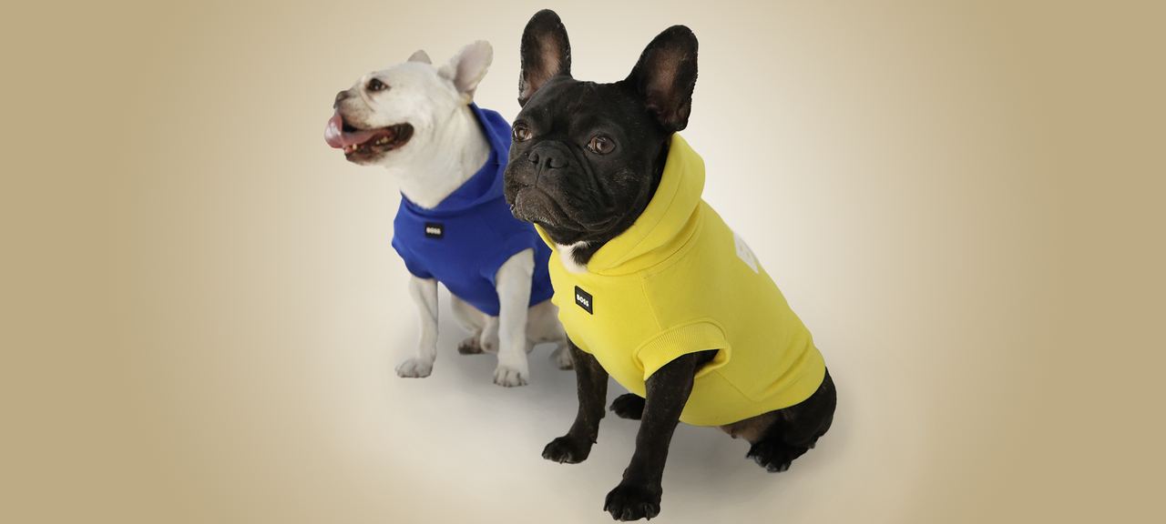 BOSS Dog Twin Ceramic Bowls with Stand – Kanine.com