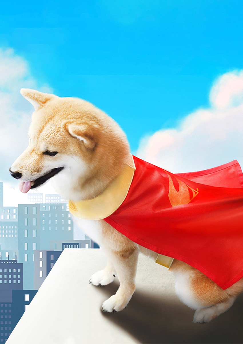 Superman Dog Costume (2024 Edition) – Kanine | Premium Designer Dog ...