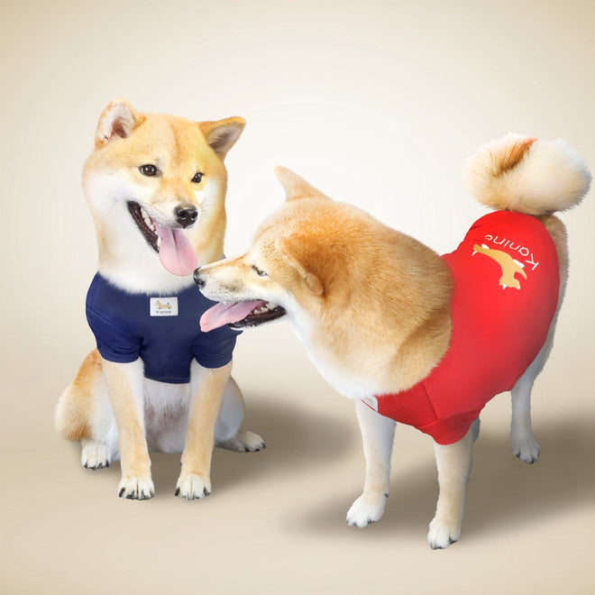 Kanine Dog Apparel and Accessories