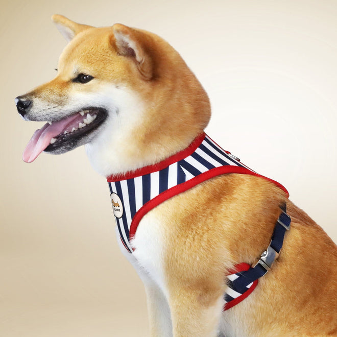 Kanine Dog Apparel and Accessories
